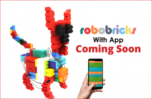 Robobricks with App